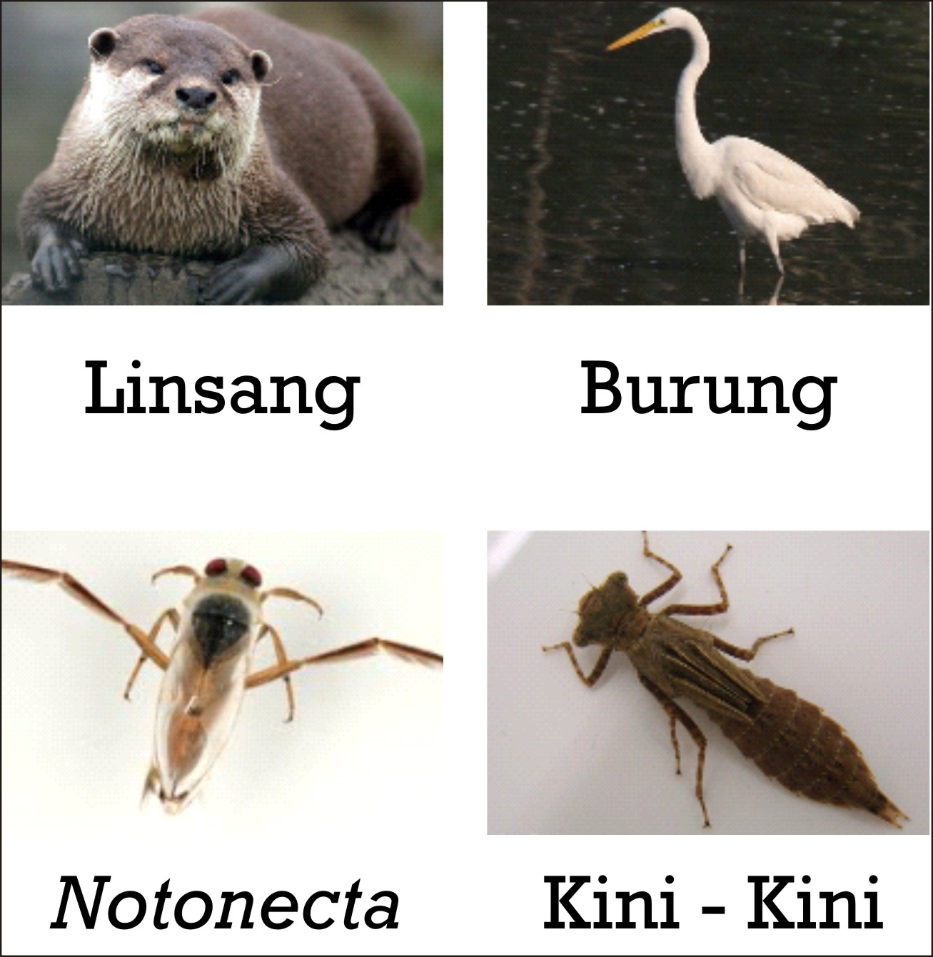 AzizBLOG: Hama Ikan Dan Penangannya