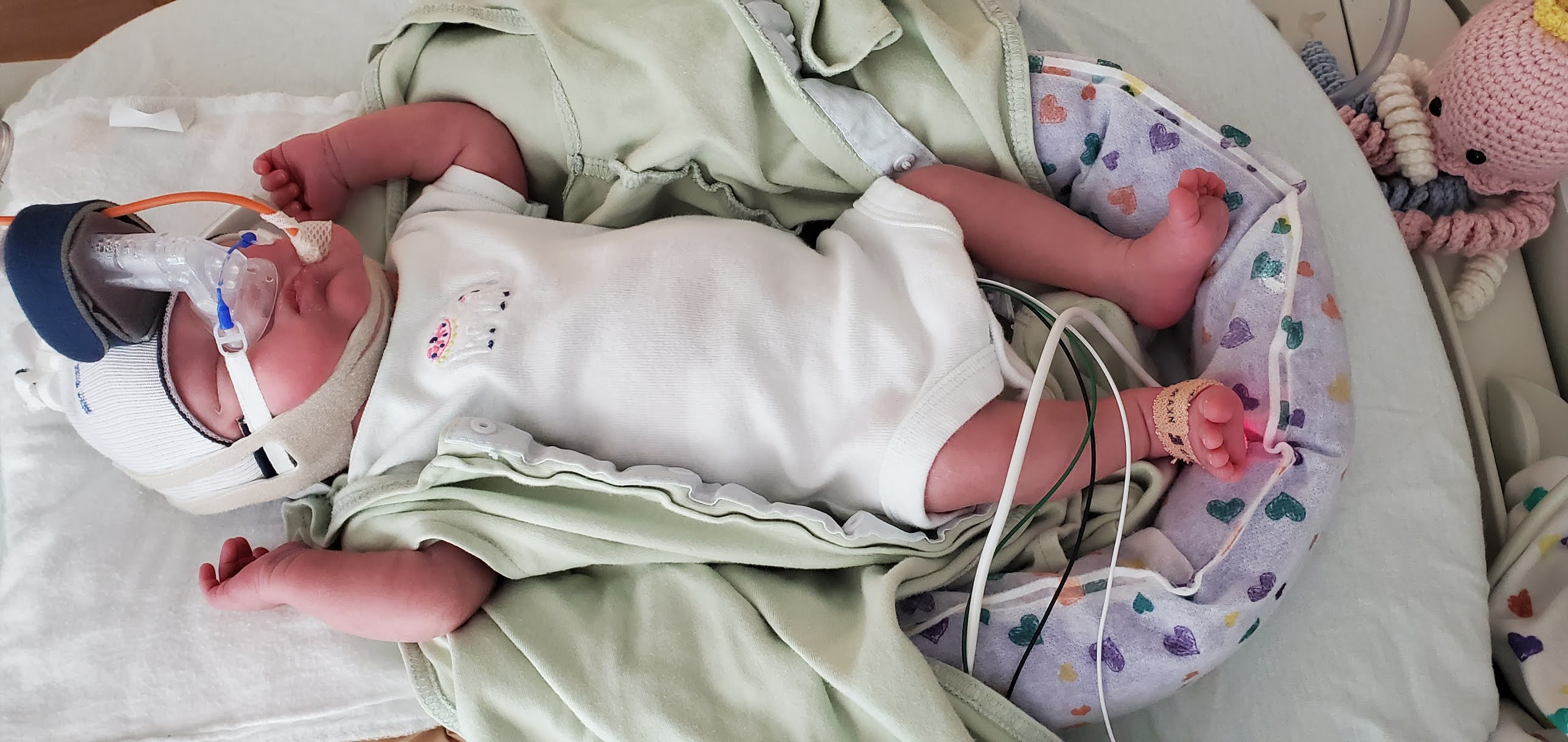 Olive Rae: Lots of pictures