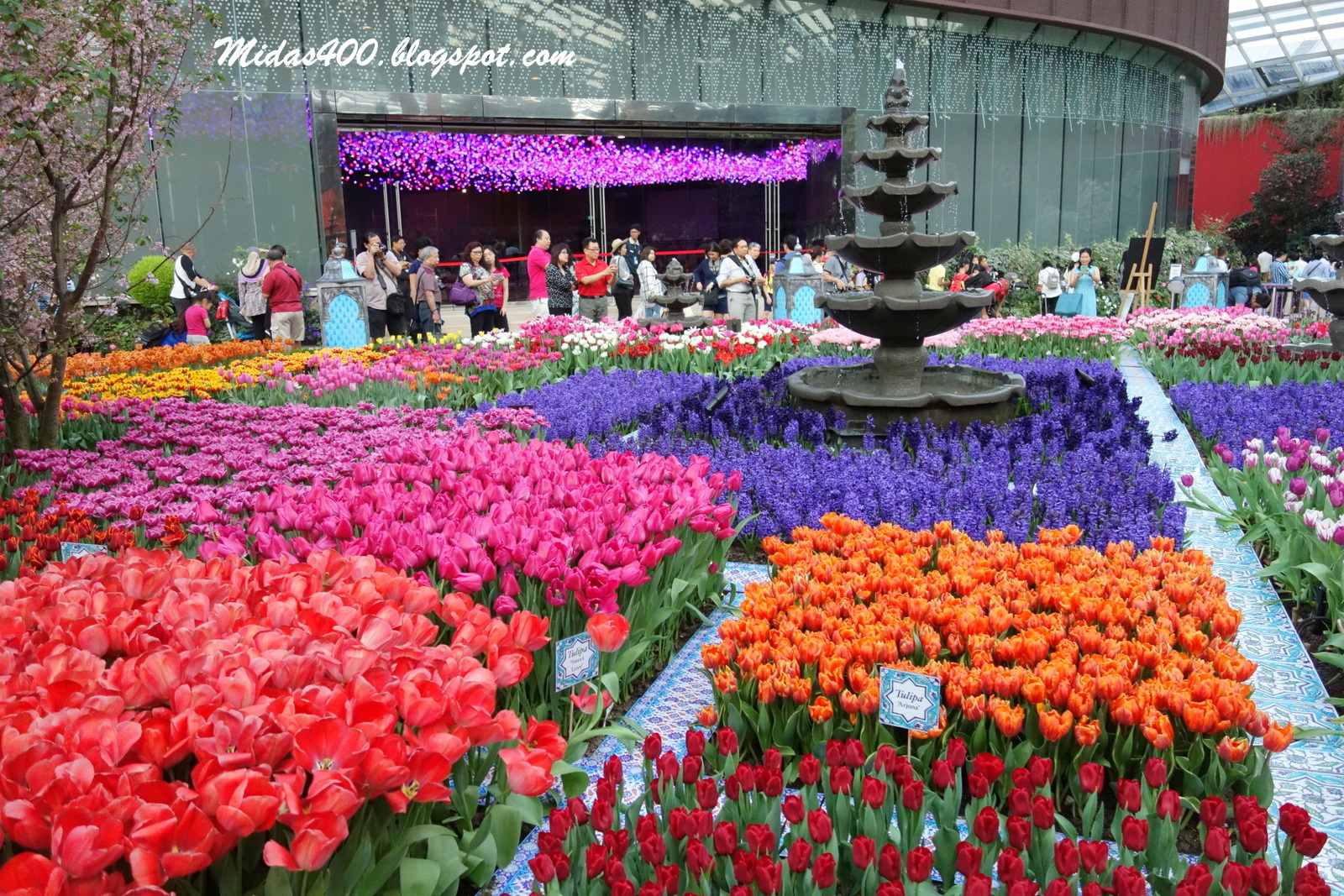 Midas Food n Travel Blog: Tulipmania 2016 @Gardens by the Bay