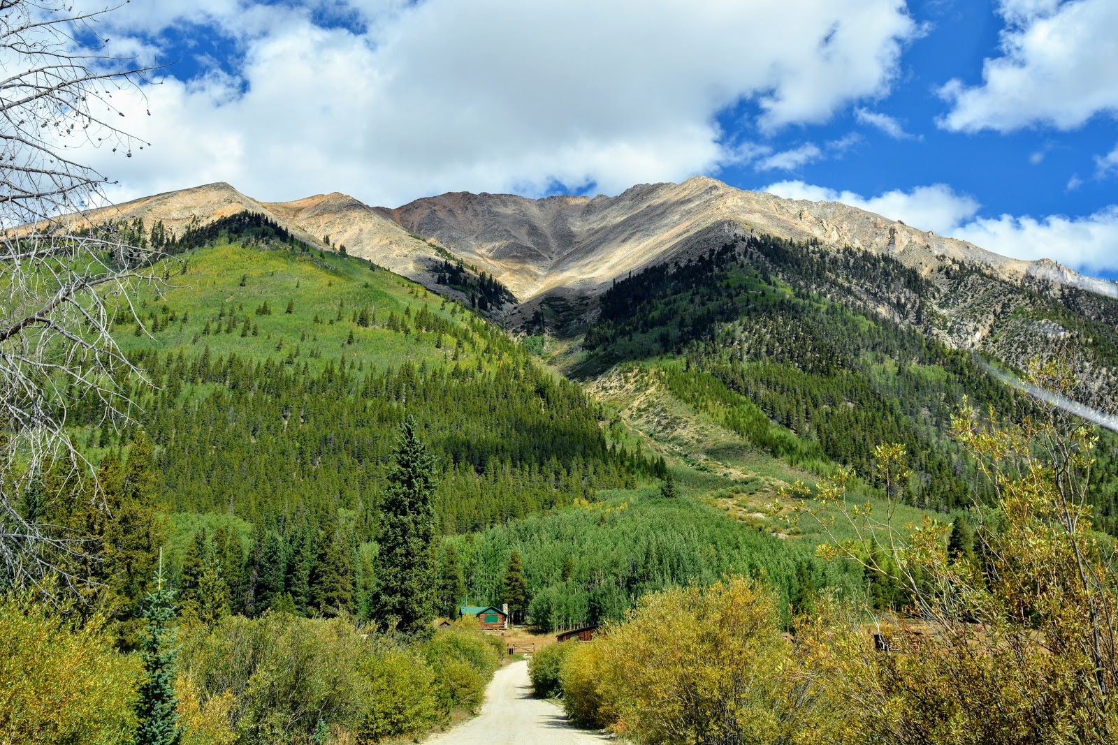 Mille Fiori Favoriti: Ghost Towns of Vicksburg and Winfield, Colorado