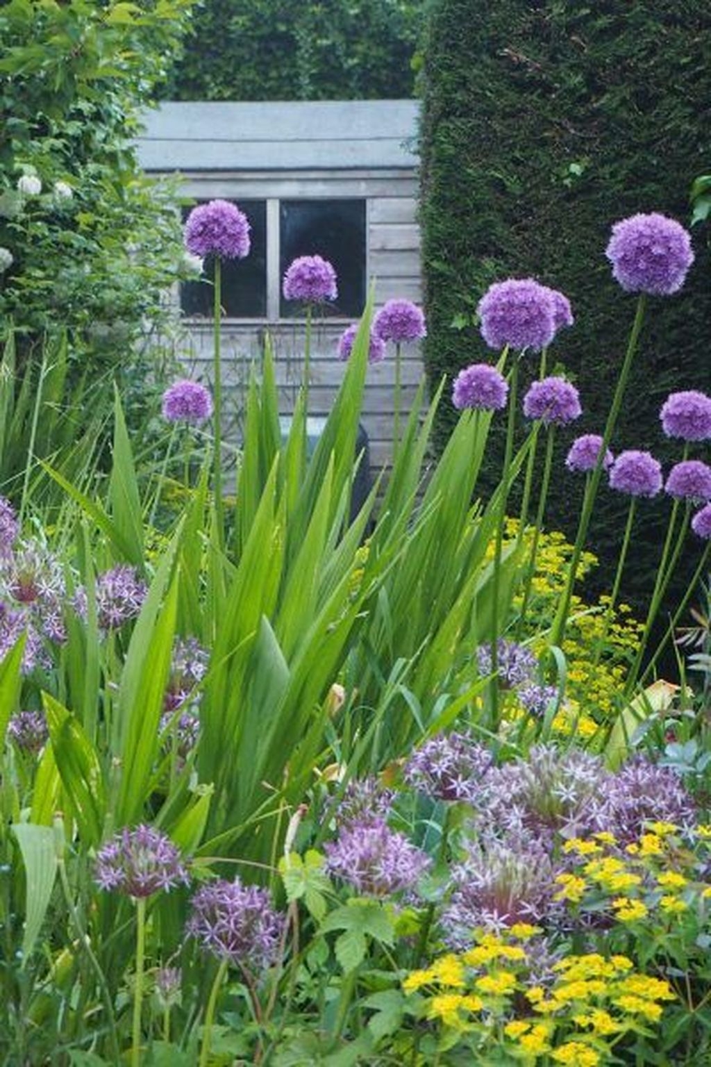 40 Lovely Garden Plants Design Ideas To Copy Right Now 40 40-lovely-garden-plants-design-ideas-to-copy-right-now-40