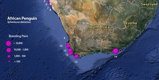 THE WORLD GEOGRAPHY: 12 Countries Where Penguins Are Native