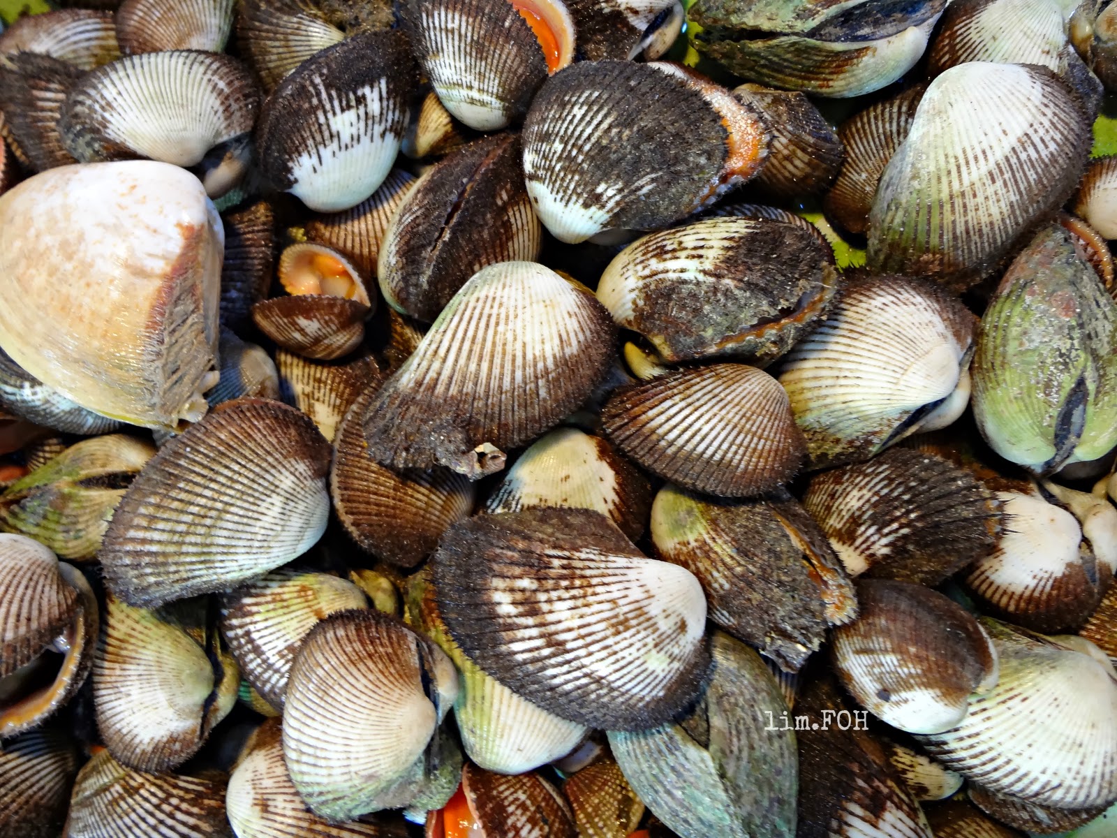 LARAWAN ATBP: January 2014