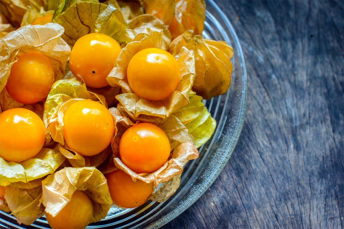 Benefícios da Fruta Physalis