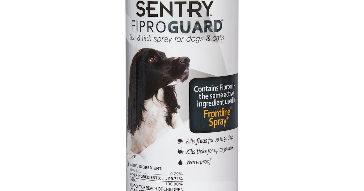 Natural Flea Remedies For Puppies - Shoo Tag For Dogs - 0Bug!Zone