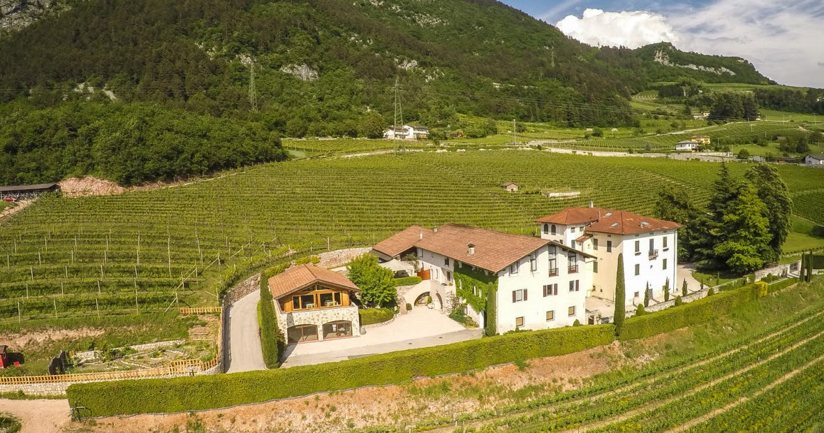 Vino Travels ~ An Italian Wine Blog: Italian Women in the Wine Industry ...