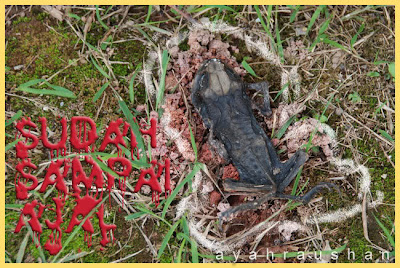 PERIBAHASA KITA: Galeri Peribahasa