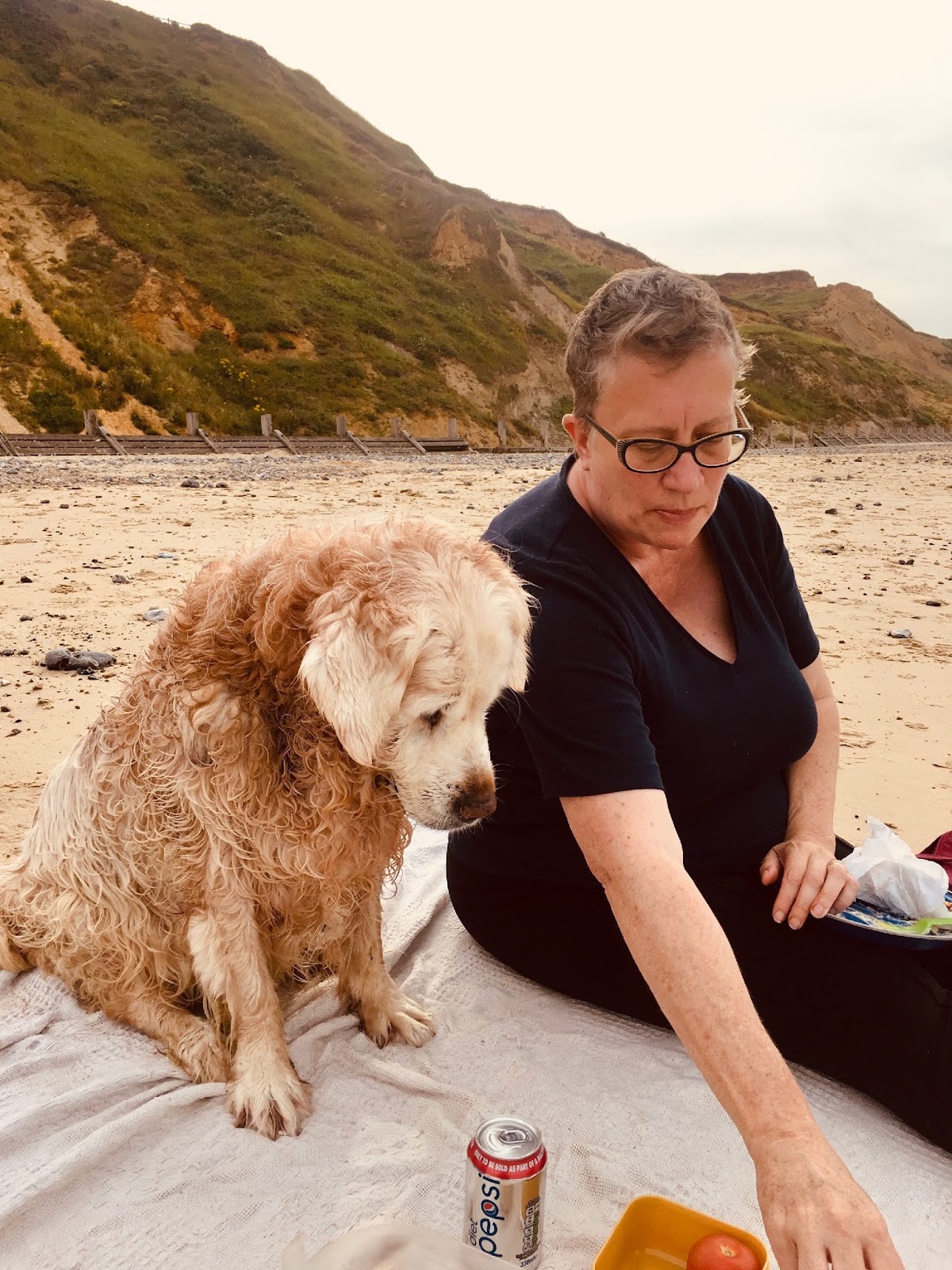 The End Of The Pier Show: Heidi the Dog (2007-2019)