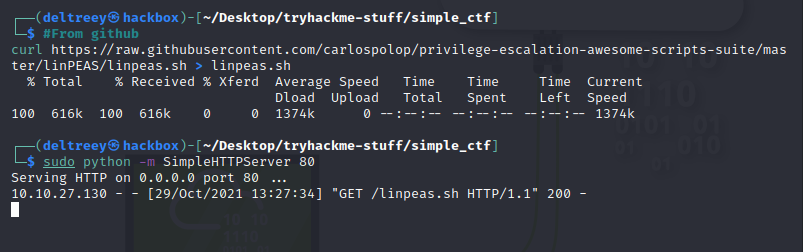 TryHackMe - Simple CTF Room
