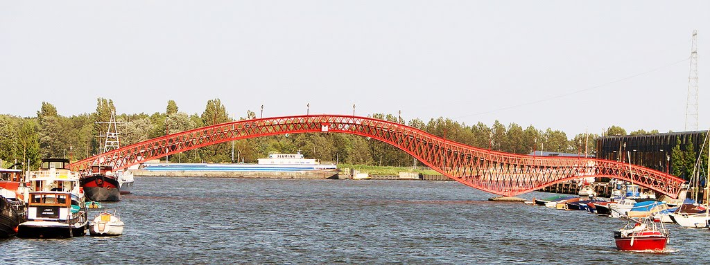 Beautiful Bridges: Python Bridge