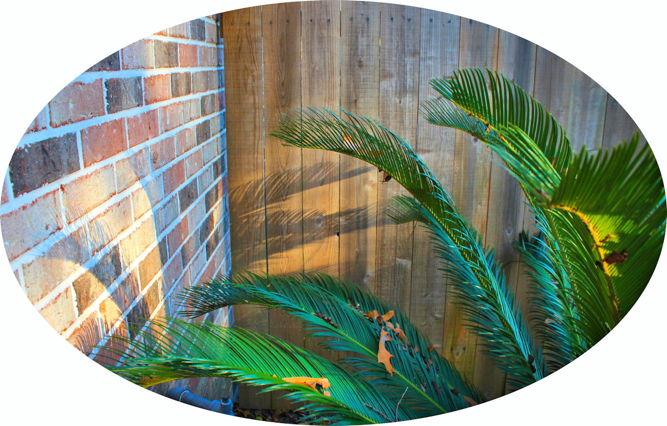 The Barthet Gallery: 2019