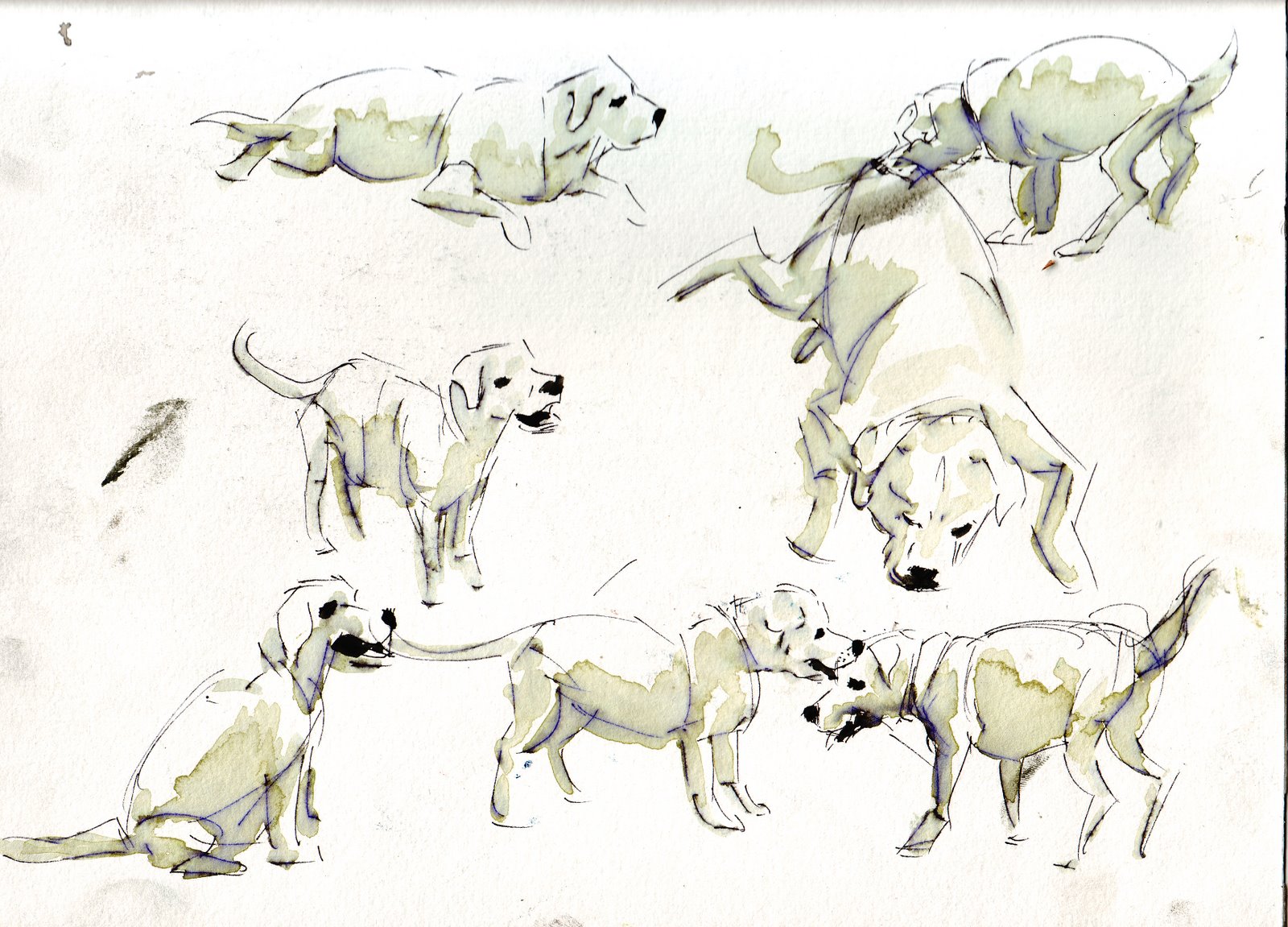mdmblog: Life drawing