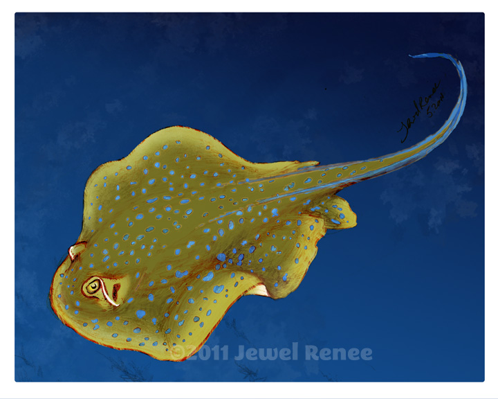 Jewel Renee Illustration: Blue Spotted Ribbon Tailed Stingray Illustration