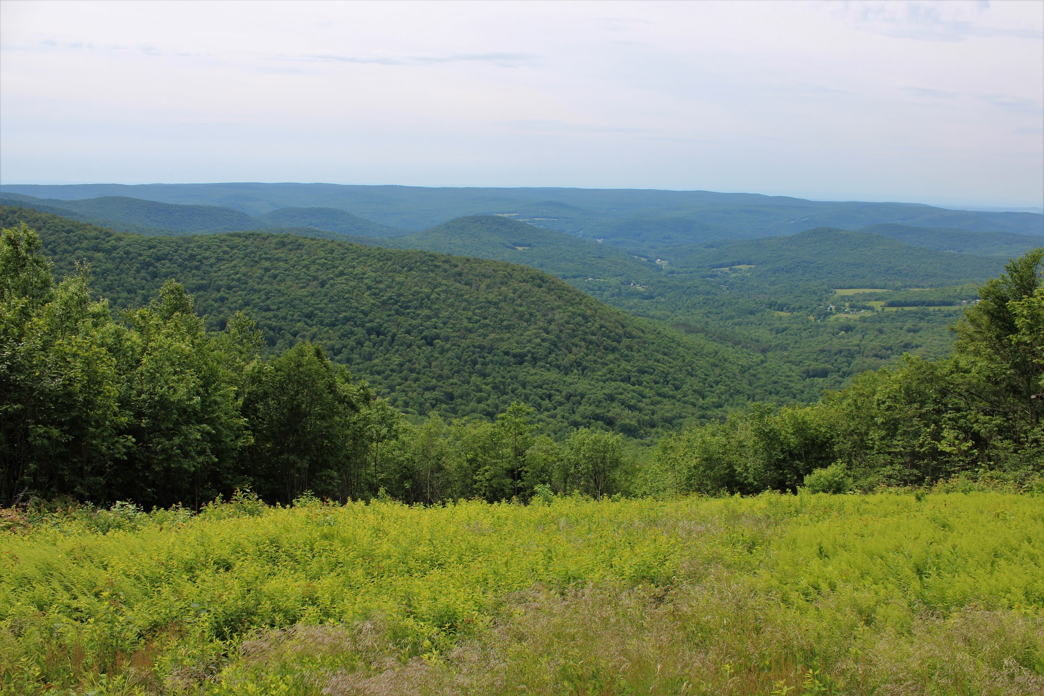 Walking Man 24 7: Snow Hole(Taconic Crest Trail-NY/ Vermont)