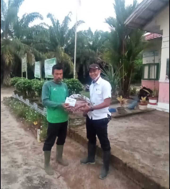 PTPN IV Afd VIII Bandar Pasir Mandoge Berikan Santunan dan Penghargaan ...