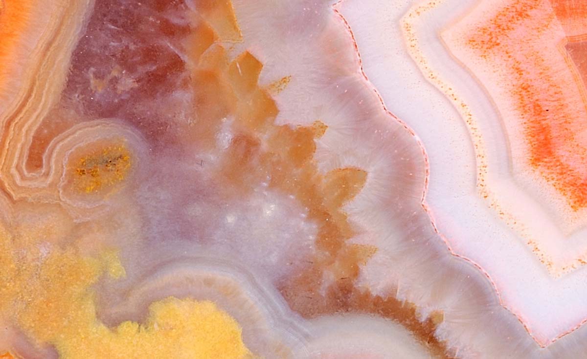 The Agatelady: Adventures and Events: Agate Close Up Pictures