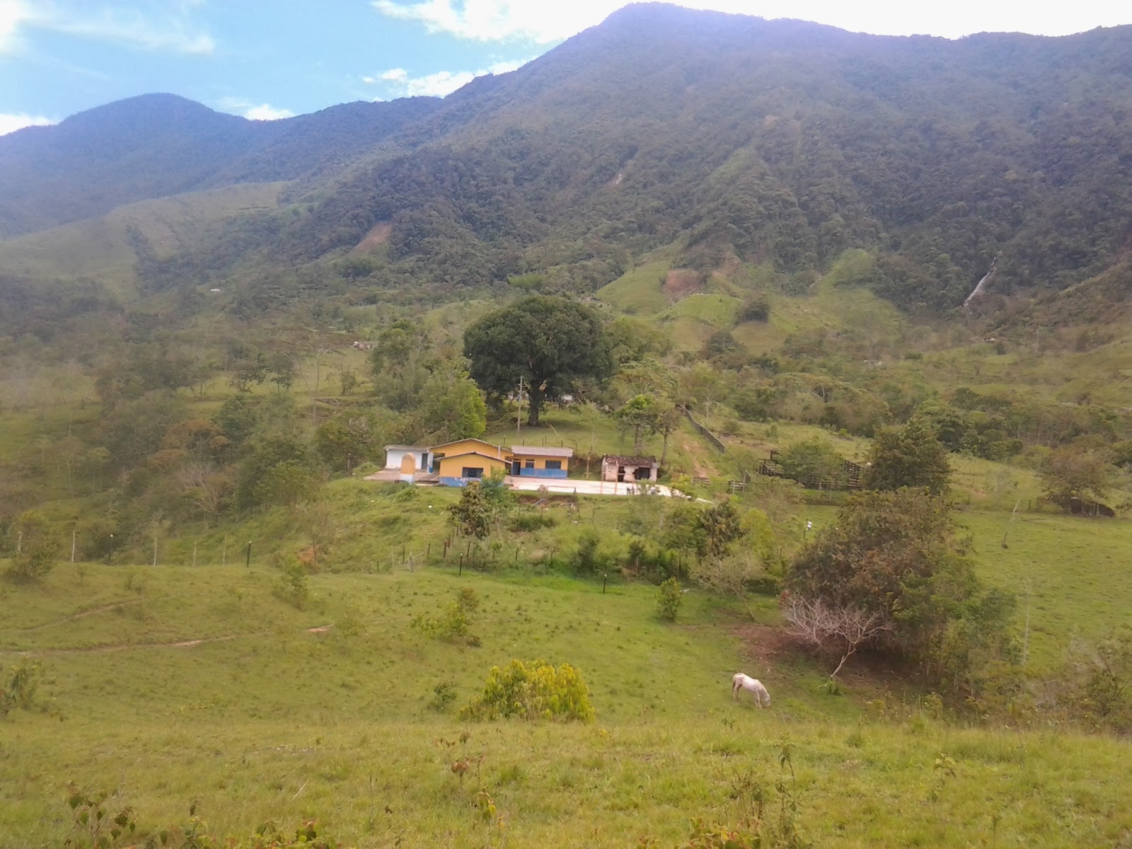 CENTRO EDUCATIVO RURAL PUERTO RICO - SAN CARLOS: POBLACIÓN