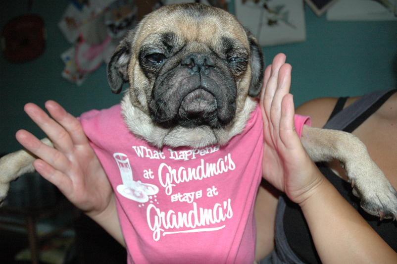 Present Letters: Grand Dogs