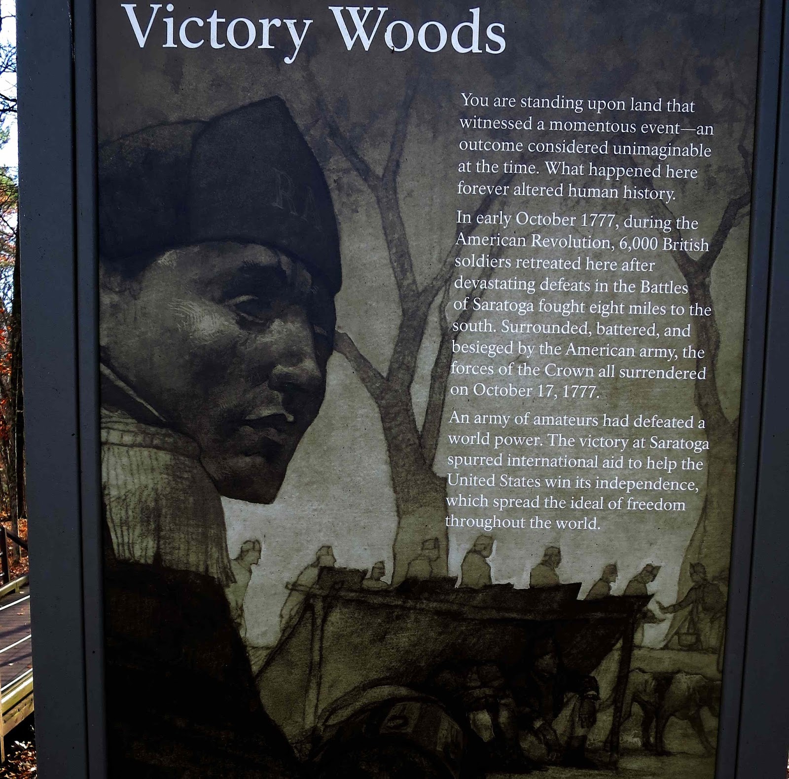 Saratoga woods and waterways: The Thursday Naturalists Visit Victory Wood