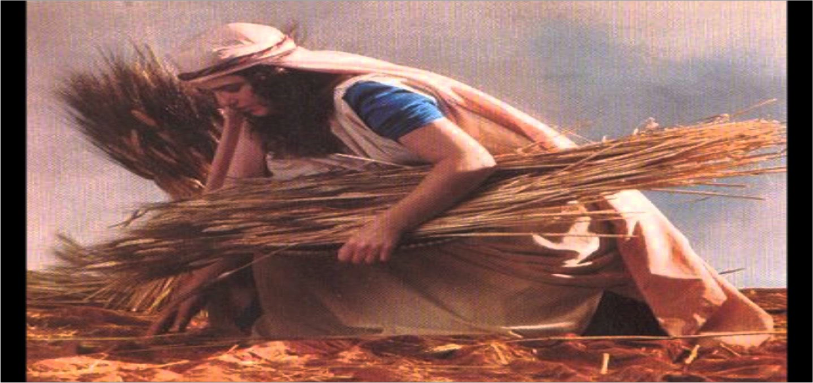 Truth and Light: Old Testament Lesson 20: All the city...doth know that ...