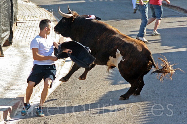 Toros Para Todos