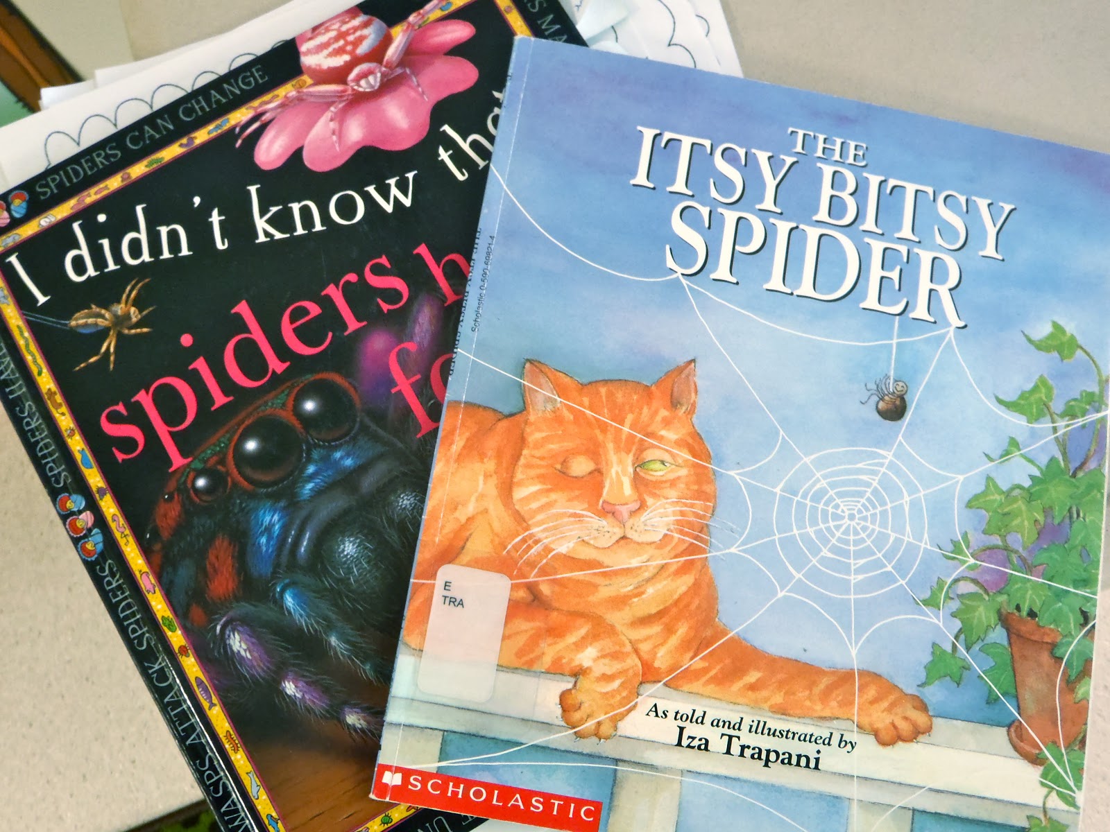 Fun With Firsties: Spiders Aren't Insects!
