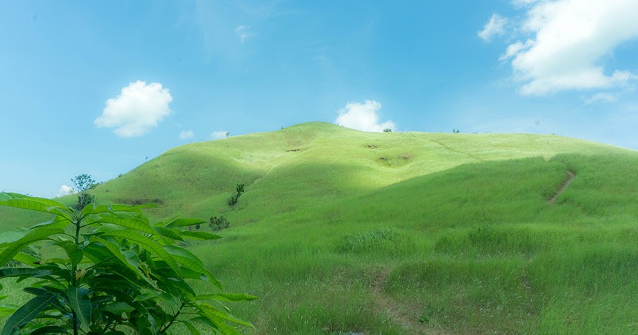 Mt. Tagapo Trip Guide and Itinerary (Day Hike) — Pinoy Travelogue | A ...