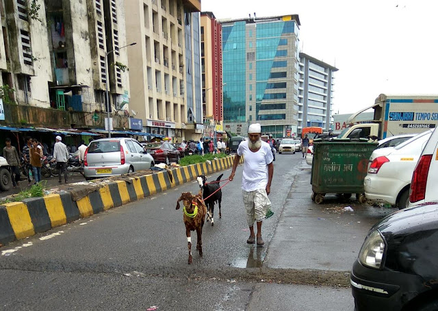 Mumbai Daily: July 2017