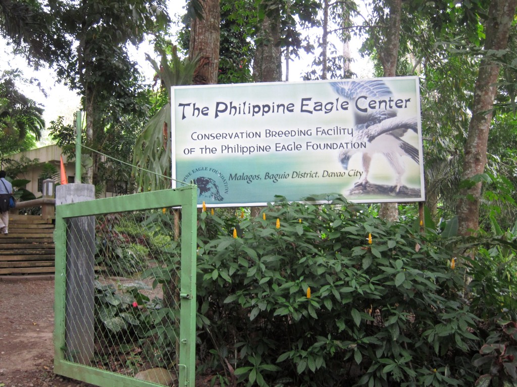 Davao City: Philippine Eagle Center | Glich's Life