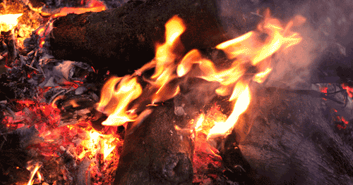 herihasbullah: Polusi Udara, Udara yang tidak Sehat Sungguh Kronis