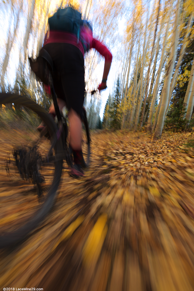 The vortex. | Mountain Bike Reviews Forum