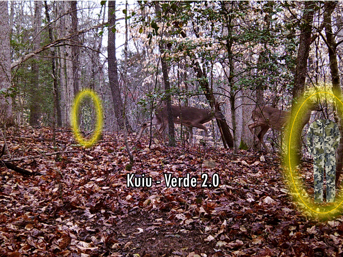 Big Winter Woods - Camouflage Test