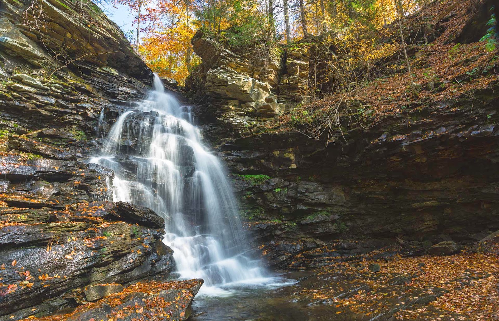 See What I See: Ricketts Glen State Park, PA