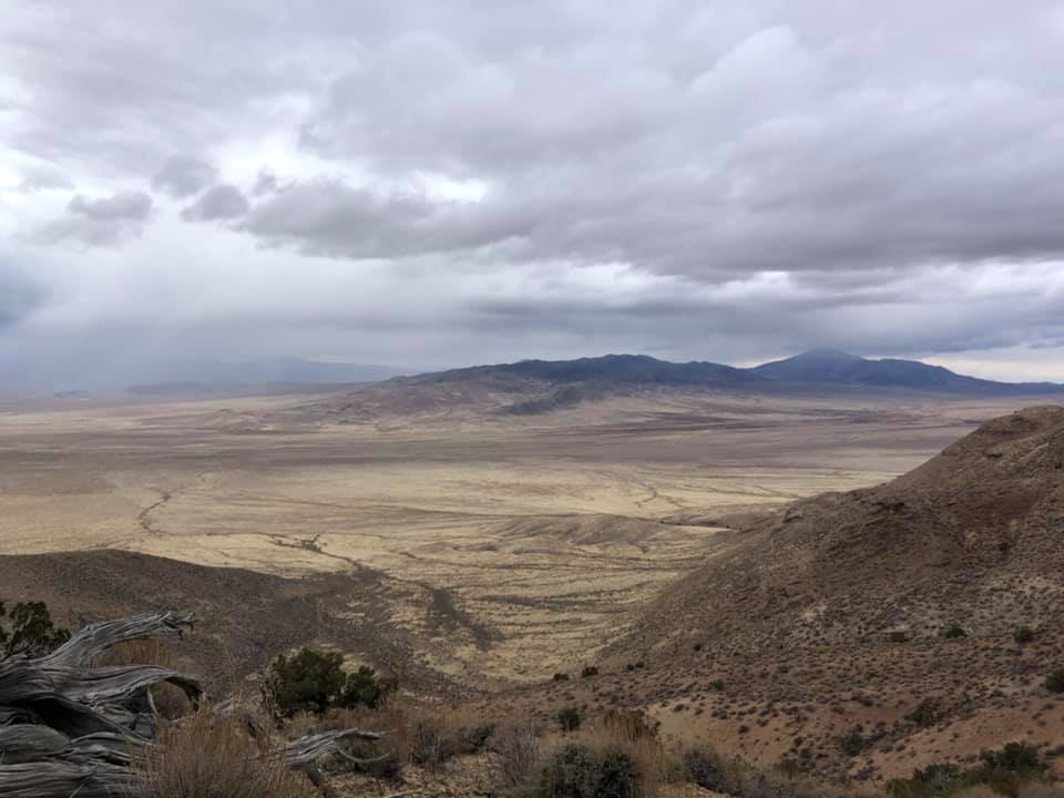 FOSSIL HUNTRESS: FAVRET CANYON