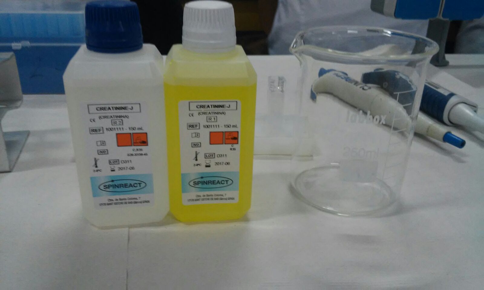 LABORATORIO DE DIAGNÓSTICO CLÍNICO: CREATININA