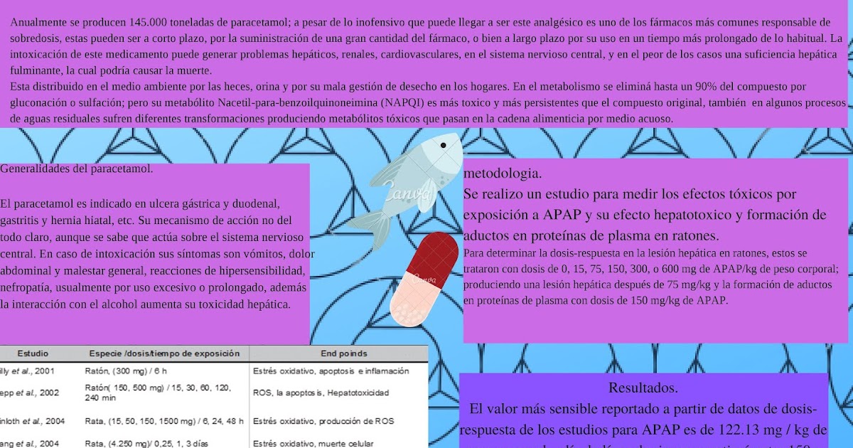 Angela Arancibia UA, portafolio digital