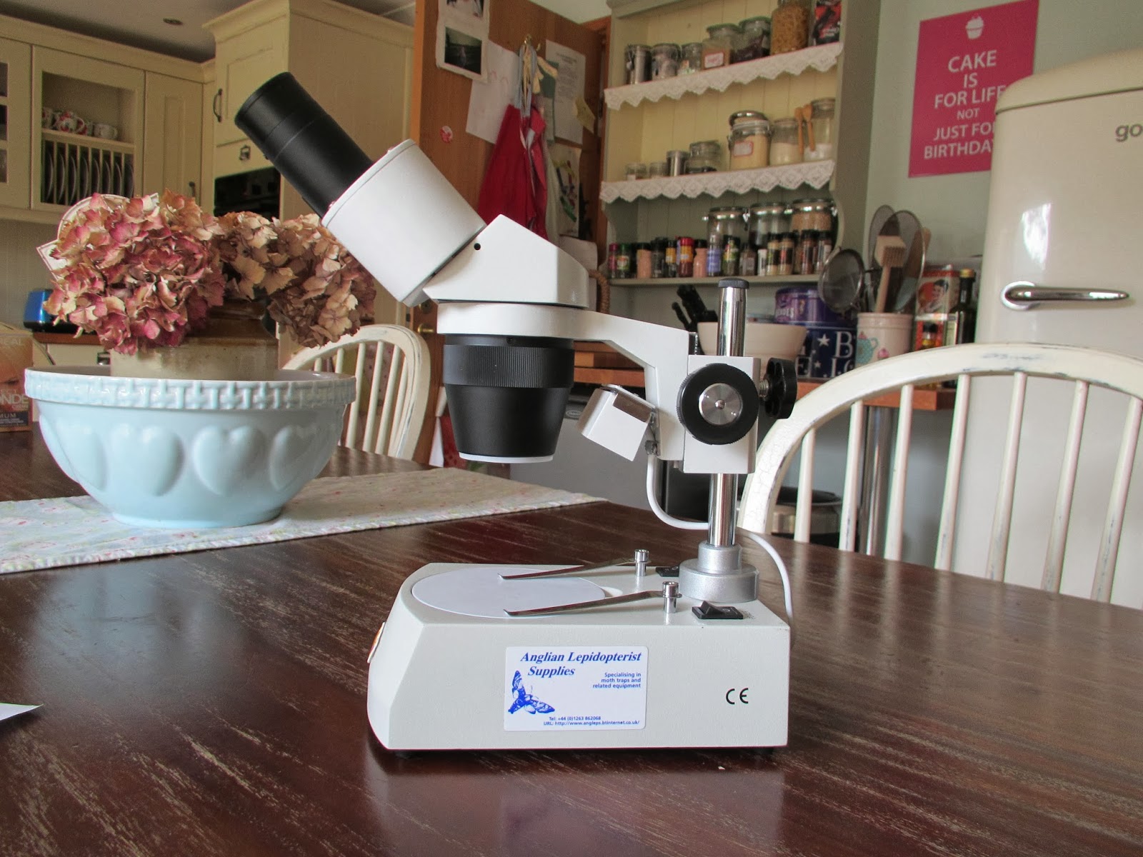 Cath Hodsman - Wildlife and Natural History Artist: 2013