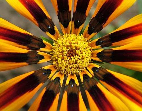 Center Of Interest Photography Examples Rule Thirds Examples Tennis ...