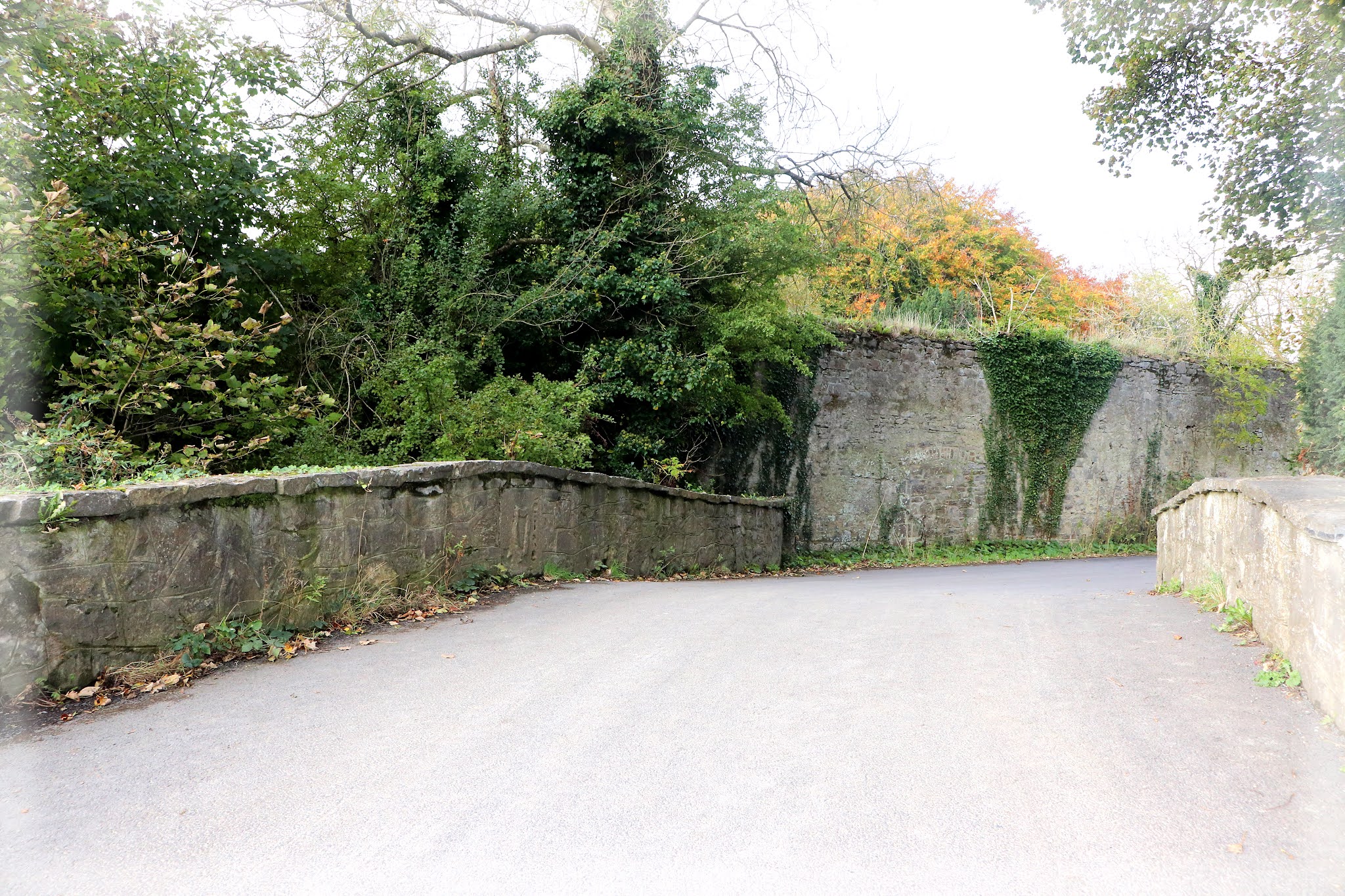 The Camac River at Corkagh.