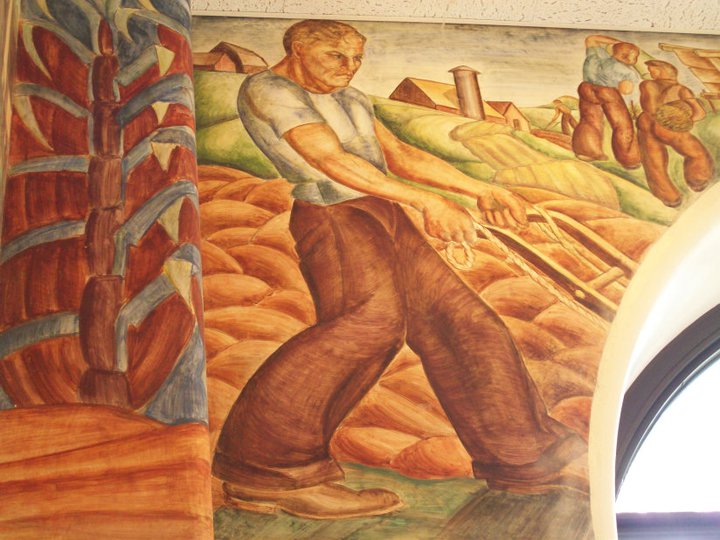 The Purple Polo: Did you know?