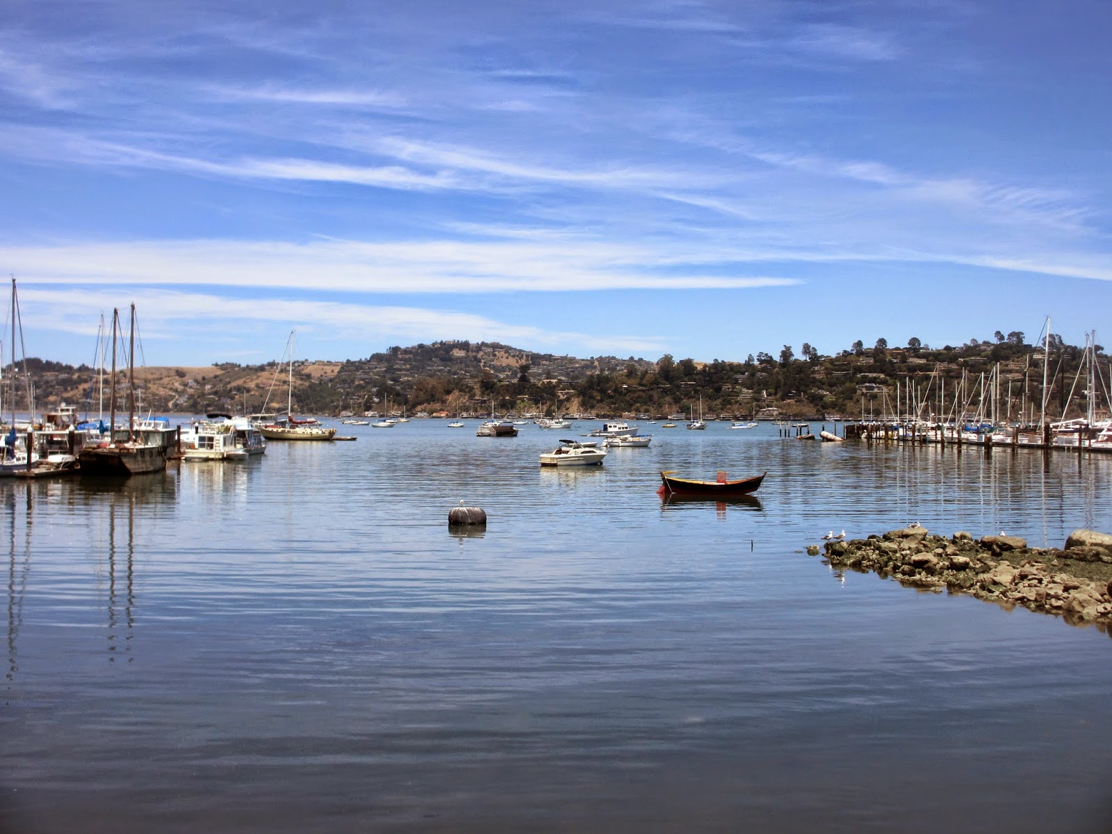 Florida Burger Lover: Salito's - Sausalito, California