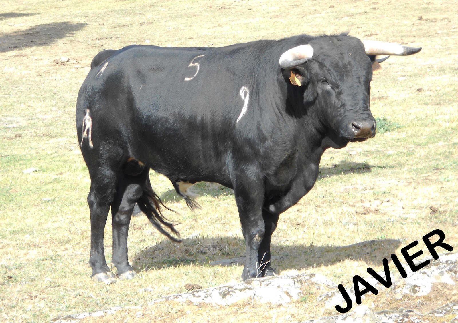 DE CATAFALCO Y ORO: 18/4/12