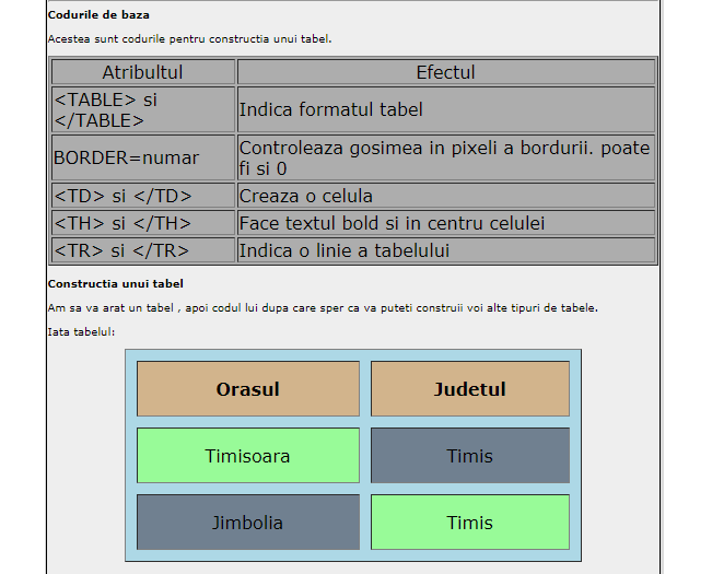 LT Dante Alighieri Informatica: clasa XII-A,B, Tema: Elemente de Web ...