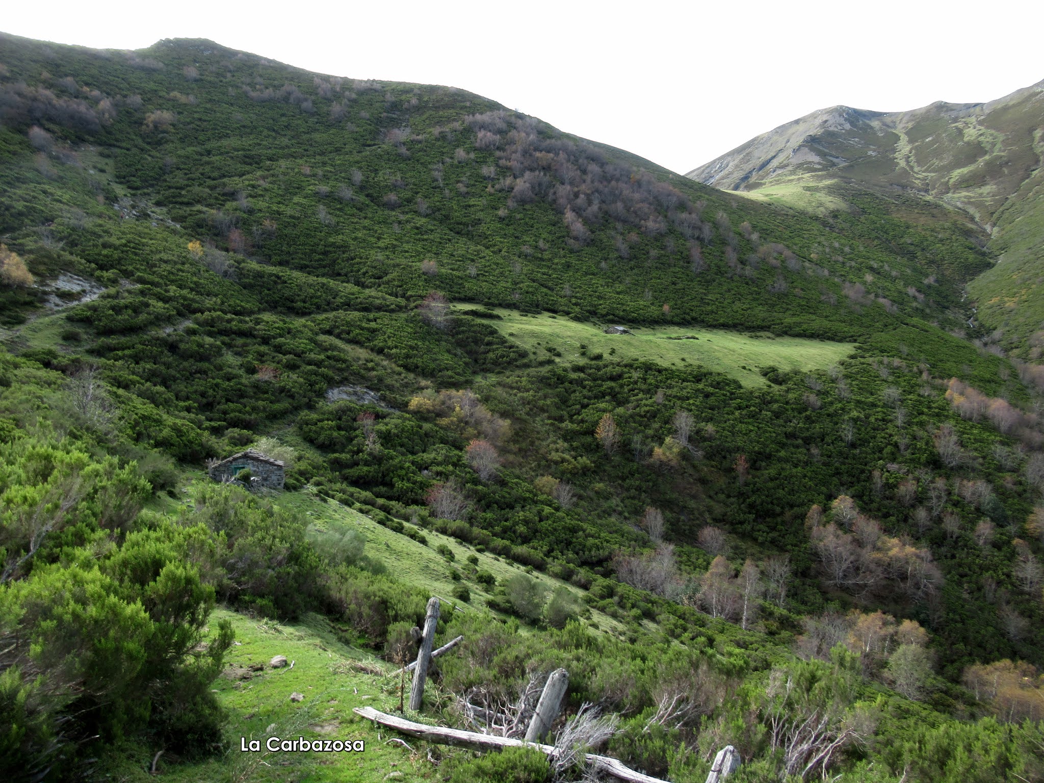 Pindio, pindio: Casomera-La Boya-Mayéu Valverde-El Vaḷḷe Carrena