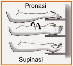 BIOLOGI GONZAGA: PEDOMAN MATERI BIOLOGI SISWA SMP DALAM UJIAN NASIONAL