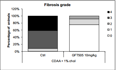 GENFIT: GFT505 treatment prevents evolution to cirrhosis