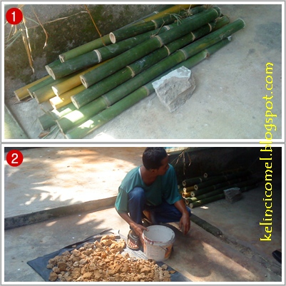 KeLiNcIcOmEl: Bunga Api Buluh