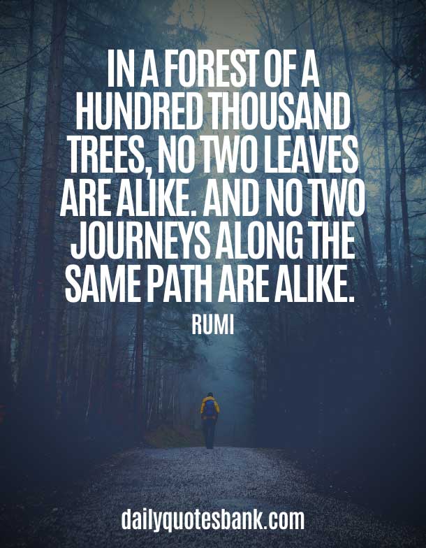 140 Inspirational Quotes About Paths Crossing and Journeys