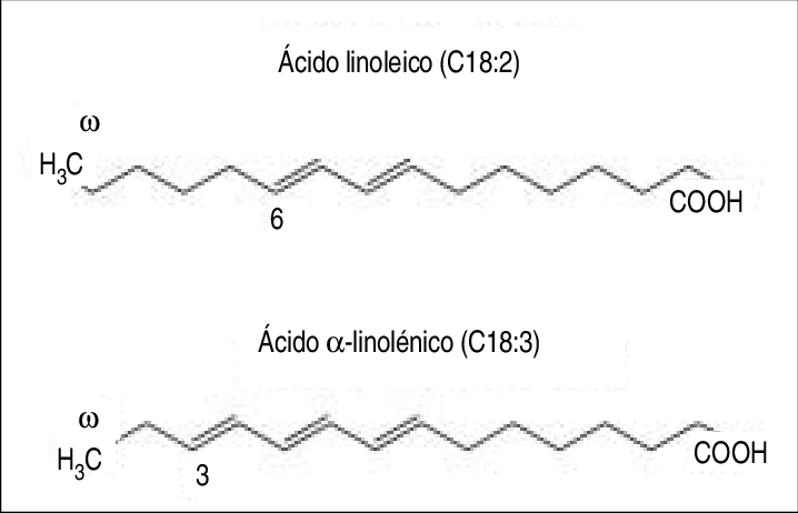 Composición química ACEITE DE COLZA