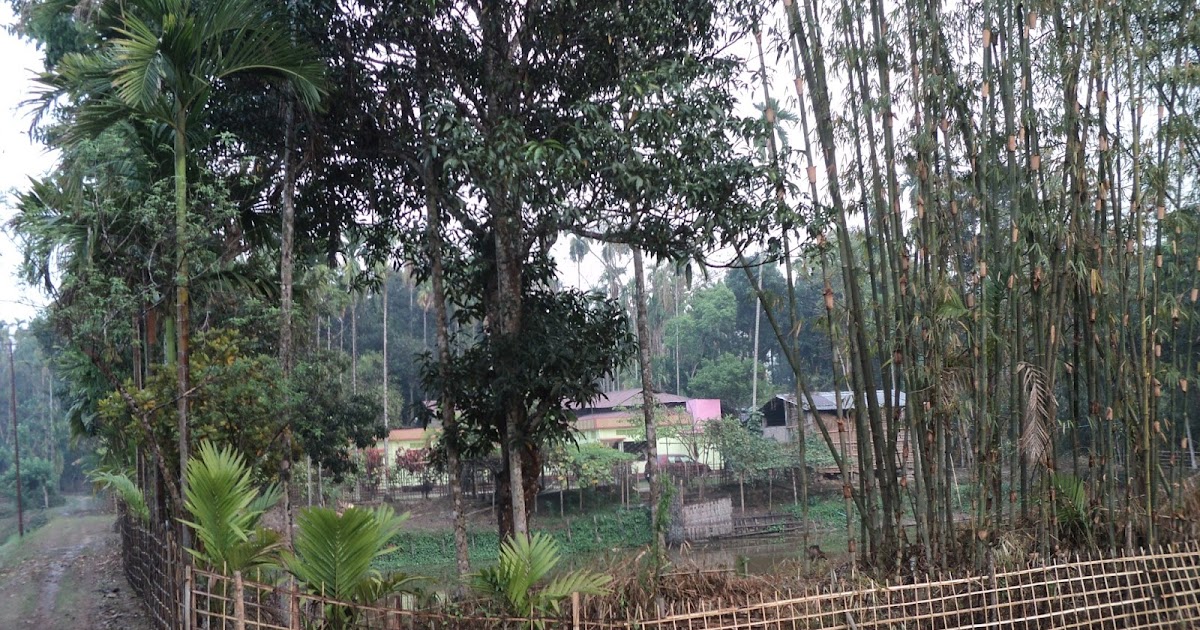 Bam History: People of Bam